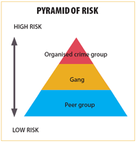 These groups may be represented schematically on a pyramid of risk. The ...
